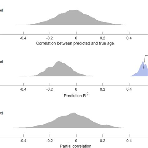Distributions Of Age Prediction Model Performance Metrics Top Pearson Download Scientific
