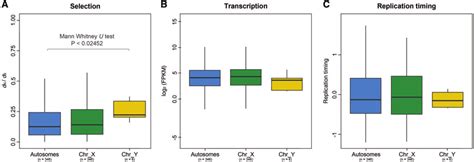 Selection Transcription And Replication Timing Across Chromosomal Download Scientific Diagram