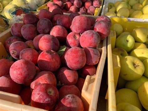 Wsda Accepting Specialty Crop Block Grant Proposals Pacific Northwest Ag Network
