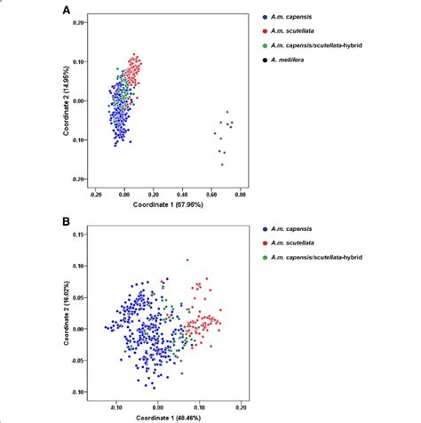 Clustering Pattern Obtained By Discriminant Analysis Of Principal Download Scientific Diagram