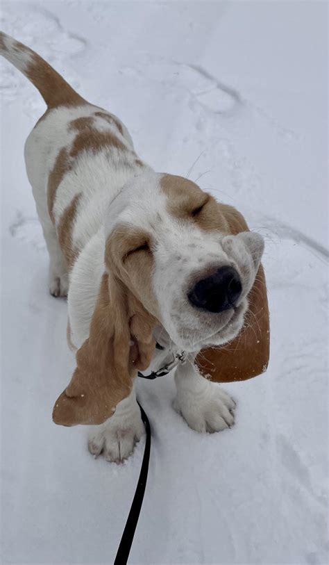 Snow Scrolller