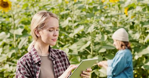 카메라 앞에 서서 해바라기 밭과 성숙한 여성에 대해 디지털 태블릿을 사용하는 작업복을 입은 젊은 진지한 여성 농부 사진 Unsplash의 사진술 이미지