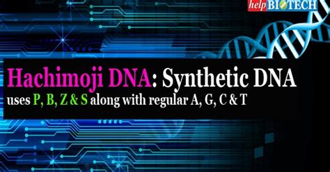 Hachimoji Dna Synthetic Dna Created Which Uses P B Z And S Along With A G C And T Read More