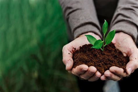 Leveraging Software Based Beneficiary Tracking For Effective Csr