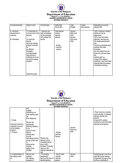 Action Plan Catch Up Fridays Pdf Fluency Behavior Modification