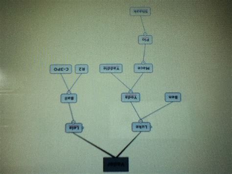 Solved Preorder Inorder And Postorder Traversals The
