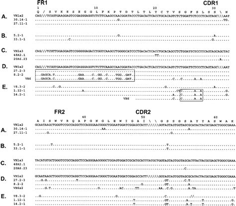 Partial Nucleotide Sequences Of Five Sets Of Clonally Related Download Scientific Diagram