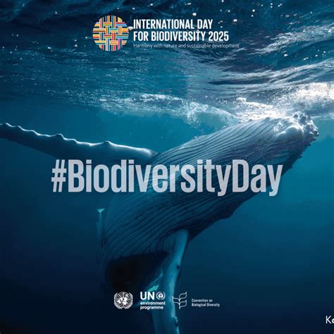 Biodiversityday A World Where Nature And People Thrive Un