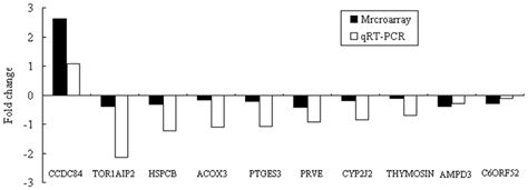 Validation Of The 10 Differentially Expressed Genes Obtained From