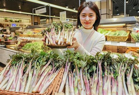 현대백화점 땅두릅 신품종 백미향 선봬 Nsp통신