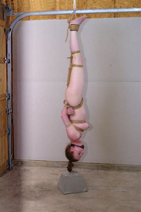 Classic Suspension Pic