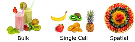 From Smoothies To Fruit Tarts The Development Of Spatial