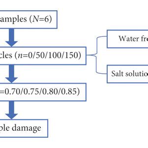 Flow Chart Of Coupling Experiment Download Scientific Diagram
