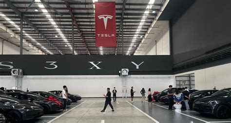 Tesla Prepares For Fsd Testing In Shanghai With 10 Pilot Cars Official Says