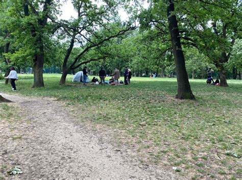 Prof Dr Jasmina Madžgalj Beograd Veoma Ranjiv Na Klimatske Promene Blic