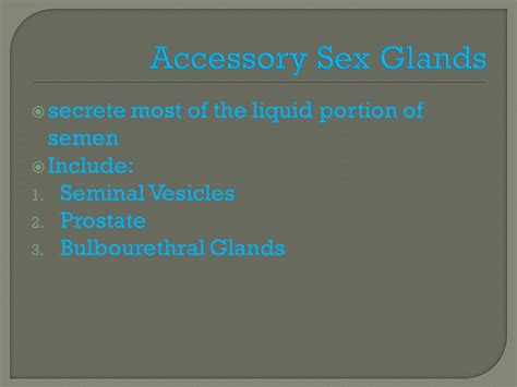 Reproductive System Male Part 1 Ppt Download