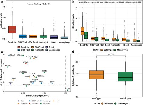 Tumor Infiltrating Leukocytes And Keap1 Mutation Status A Download Scientific Diagram
