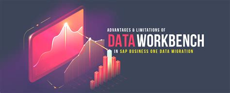 Advantages And Limitations Of Data Workbench In Sap Business One Data