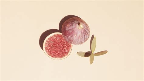 Ivf Full Form Complete Guide To In Vitro Fertilization