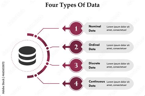 Vecteur Stock Four Types Of Data Nominal Data Ordinal Data Continuous Data Discrete Data