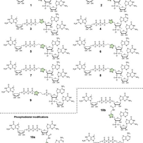 Structures Of Phosphotriazole Trinucleotide Cap Analogs Synthesized In