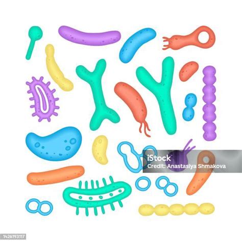 박테리아의 마이크로바이옴 그림 벡터 이미지 위장 비피도박테리아 락토바실리 유산균 플랫 스타일의 일러스트레이션 0명에 대한 스톡 벡터 아트 및 기타 이미지 Istock