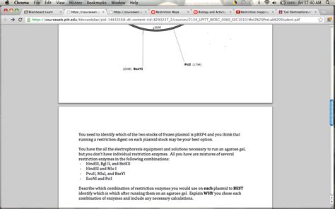 Solved Question Chegg