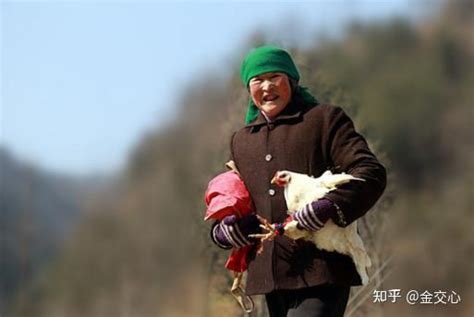 因果循环报应不爽重男轻女家破人亡 知乎
