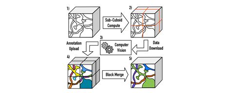 Vcg Harvard An Automated Images To Graphs Framework For High Resolution Connectomics