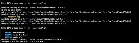 【redis】redis7新特性测试：通过主机名暴露集群节点信息cluster Support For Hostnames