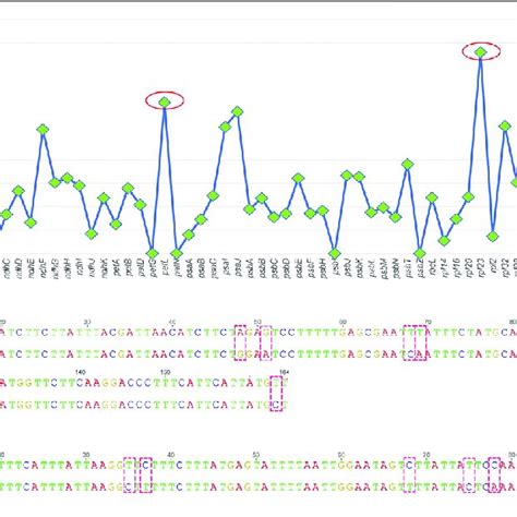 Selection Of Hypervariable Coding Regions And Examination Of Variable