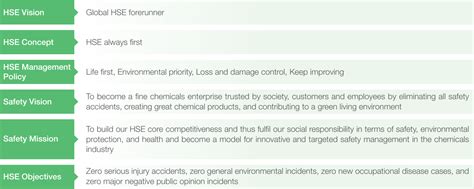 中化国际（控股）股份有限公司 英文 Sustainability Safety And Environment Hse Management