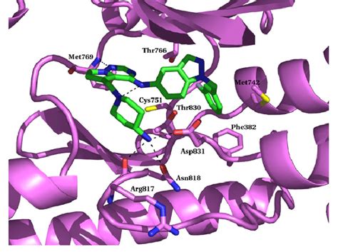 Predicted Binding Mode Of Compound 1c Modeled In The X Ray Structure Of