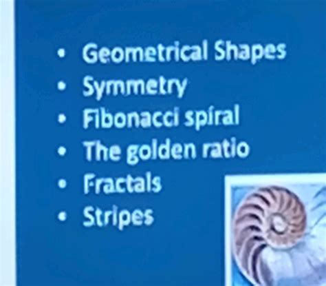 Geometrical Shapes Symmetry Fibonacci Spal Studyx