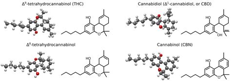 Domestic Engineering Cannabis — The Facts That Were Lost In The Haze