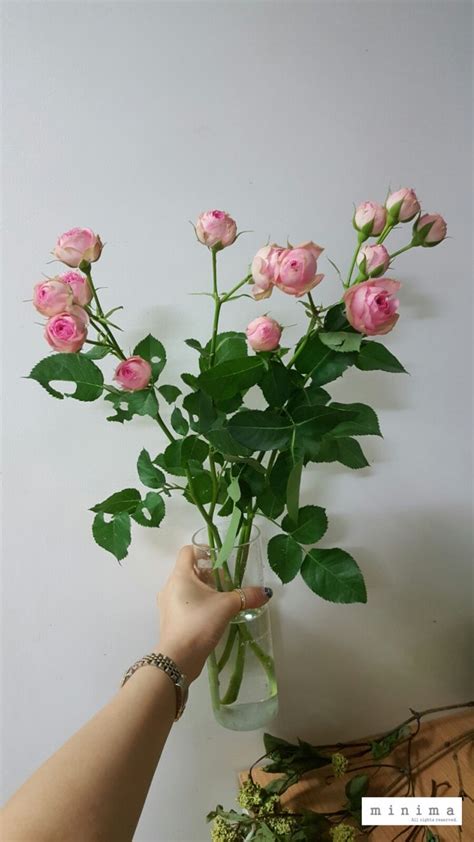 꽃시장에서 사온 슈퍼센세이션 장미와 유칼립투스로 드라이플라워 직접 만들어보기 네이버 블로그