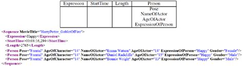 The Figure Contains The Annotation Attributes In The Database Metadata