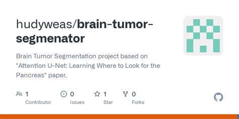 Github Hudyweas Brain Tumor Segmenator Brain Tumor Segmentation Project Based On Attention U