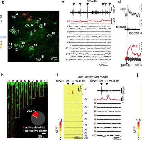 The Block Diagram Of Cnn Architecture A Cnn Model Automatically Learns