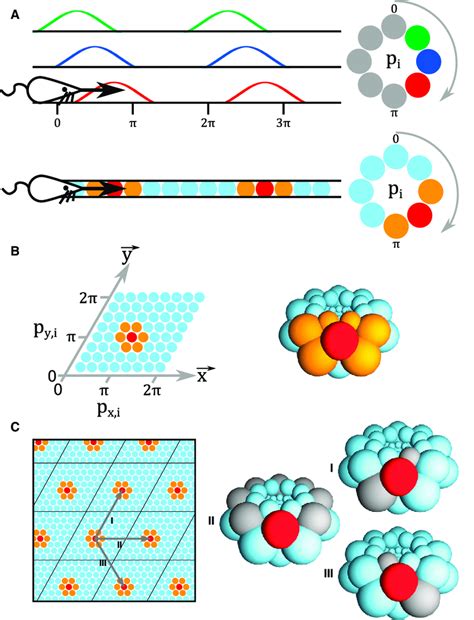 Grid Cells Kemere Lab Hippo 101
