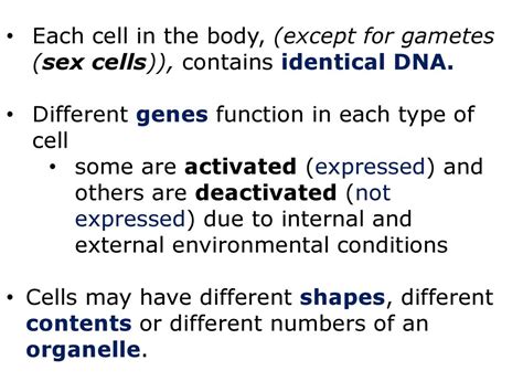 Cell Specialization Ppt Download