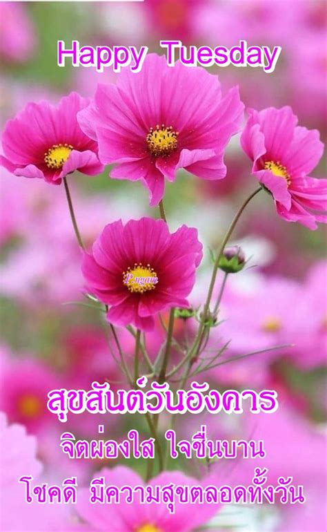 วันอังคาร ในปี 2022 วันอังคาร