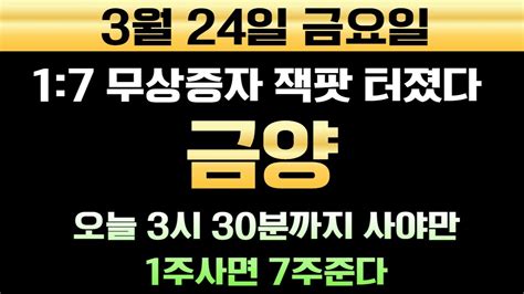 금양 🚨긴급속보🚨17 무상증자 터졌다 오늘 3시30분까지사야만 1주사면 7주준다 무조건 쓸어담아라 강원에너지 에코프로비엠
