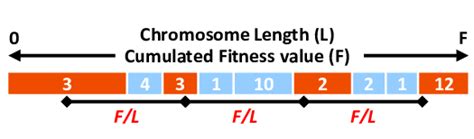 Stochastic Universal Sampling Selection Example Download Scientific