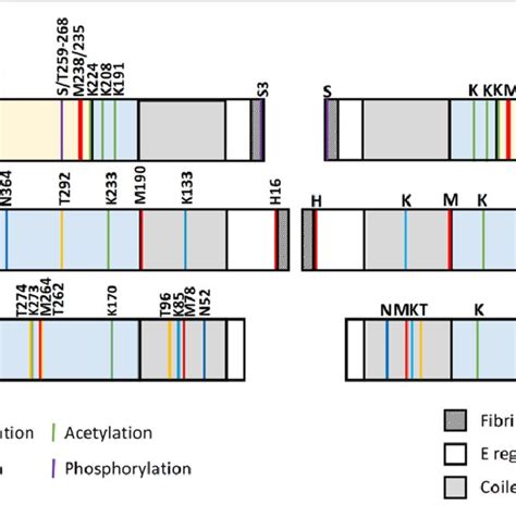 Biochemistry Of The Post Translational Modifications For Each