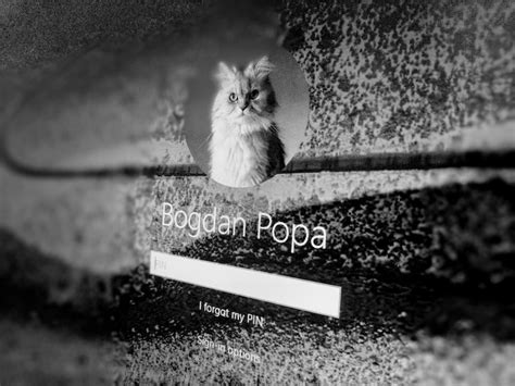 Microsoft Releases Windows 10 20h1 Build 18995 With Safe Mode