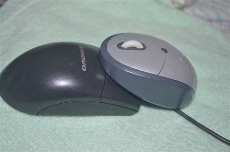 Computer Mice Free Stock Photo Public Domain Pictures