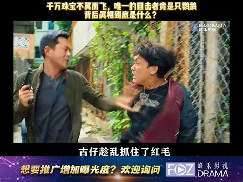 千万珠宝不翼而飞，唯一的目击者竟是只鹦鹉，背后真相到底是什么？！！！ 【犯罪现场 】 千万珠宝不翼而飞，唯一的目击者竟是只鹦鹉，背后真相