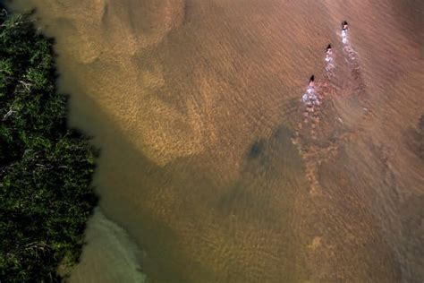 The Waters Of The Xingu A Source Of Life At Risk Of Death South