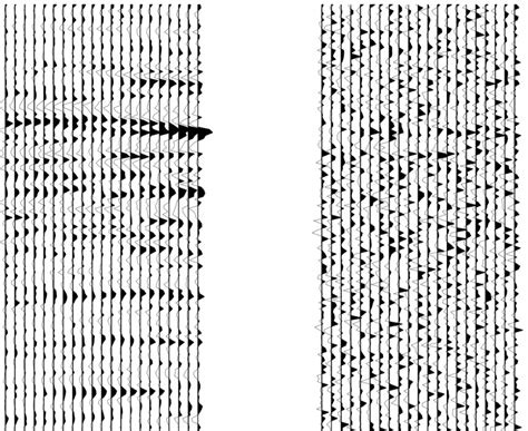 Seismic Image Left And Difference Section Right With Lapped Download Scientific Diagram